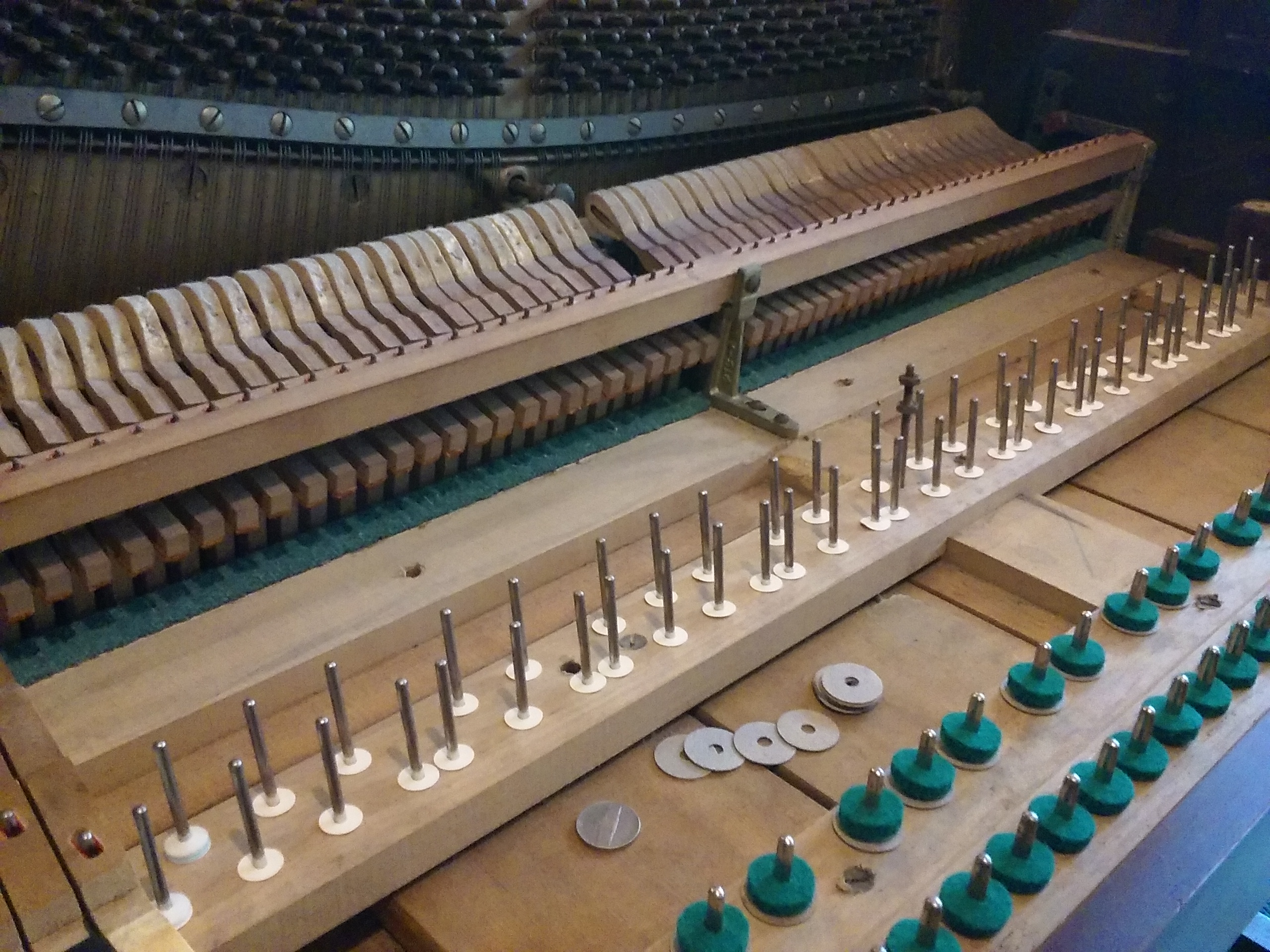 Peter Moffitt | Pianist, Piano Doctor