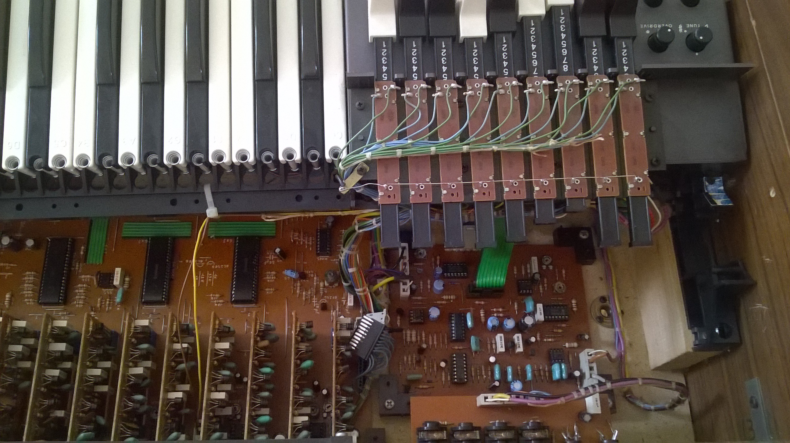 Gallery | Peter Moffitt