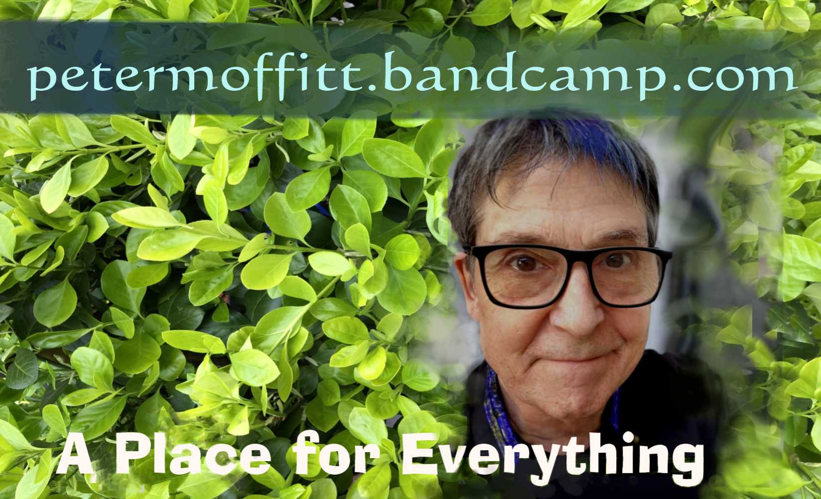 My Music | Peter Moffitt